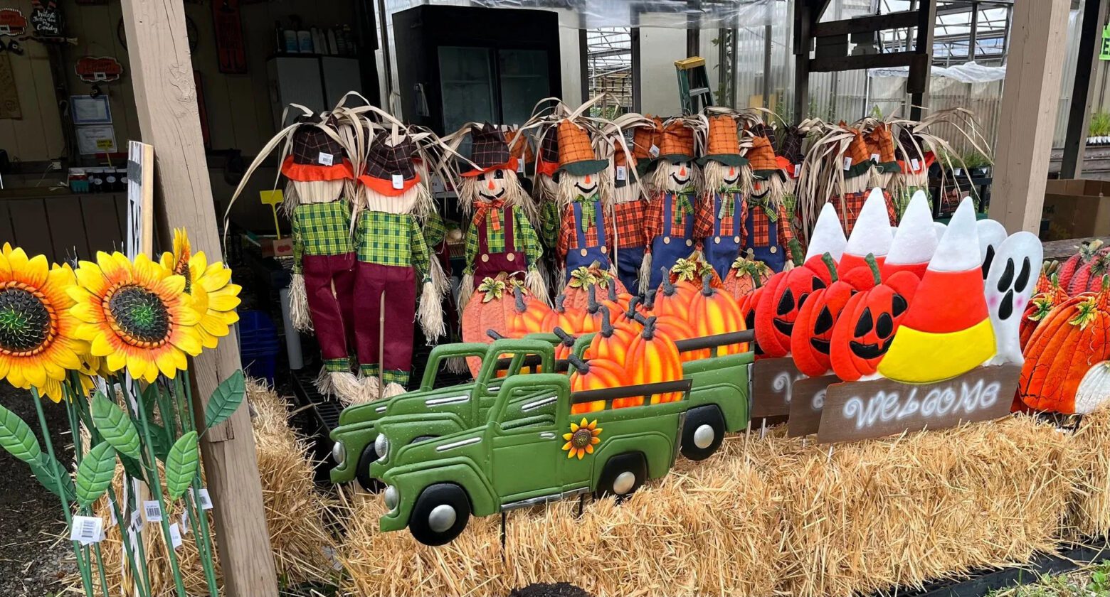 New Jersey Pumpkin Patches for Family Fun - 2024 Updates | Jersey Digs