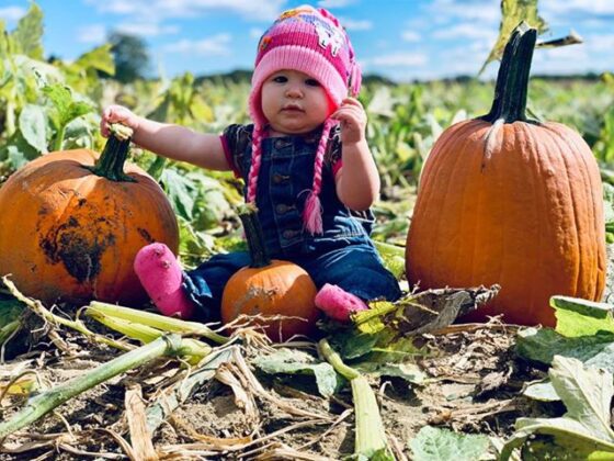 New Jersey Pumpkin Patches for Family Fun - 2024 Updates | Jersey Digs