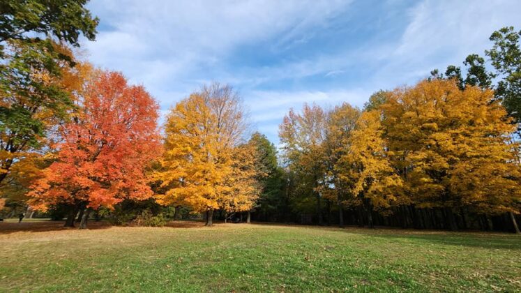 12 Beautiful Places to See Fall Foliage in New Jersey - 2024 UPDATE ...