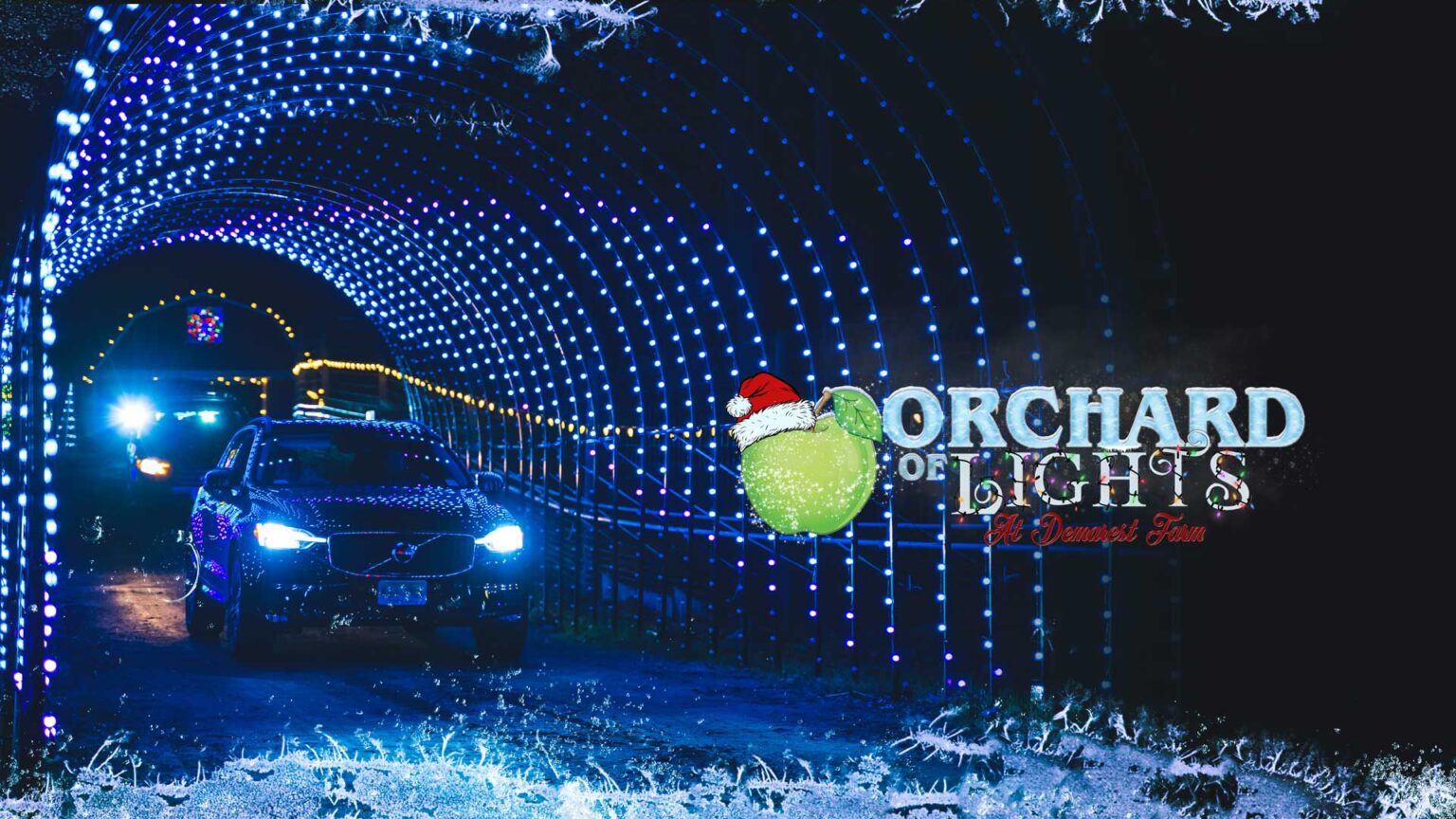 11 Beautiful NJ Christmas Light Show Displays [2024] | Jersey Digs