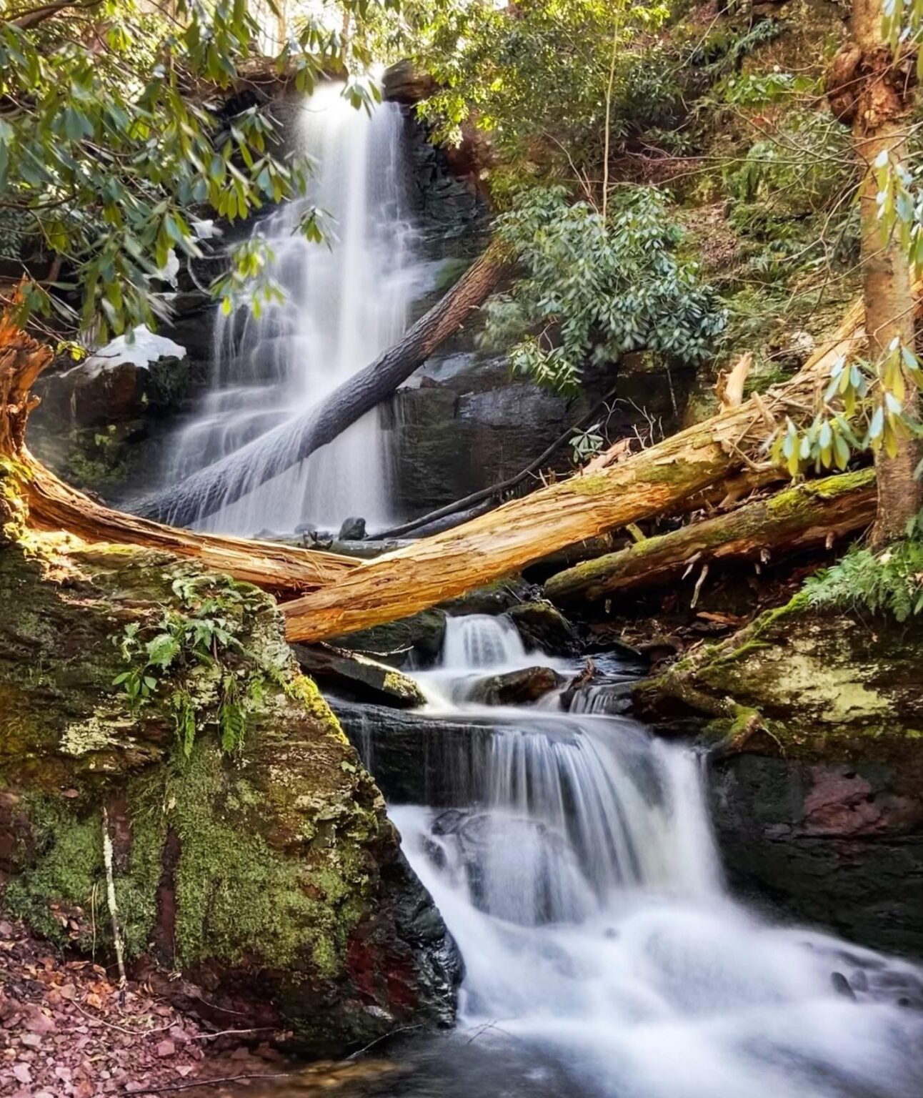 Garden State Greenery: The Best Parks in New Jersey | Jersey Digs