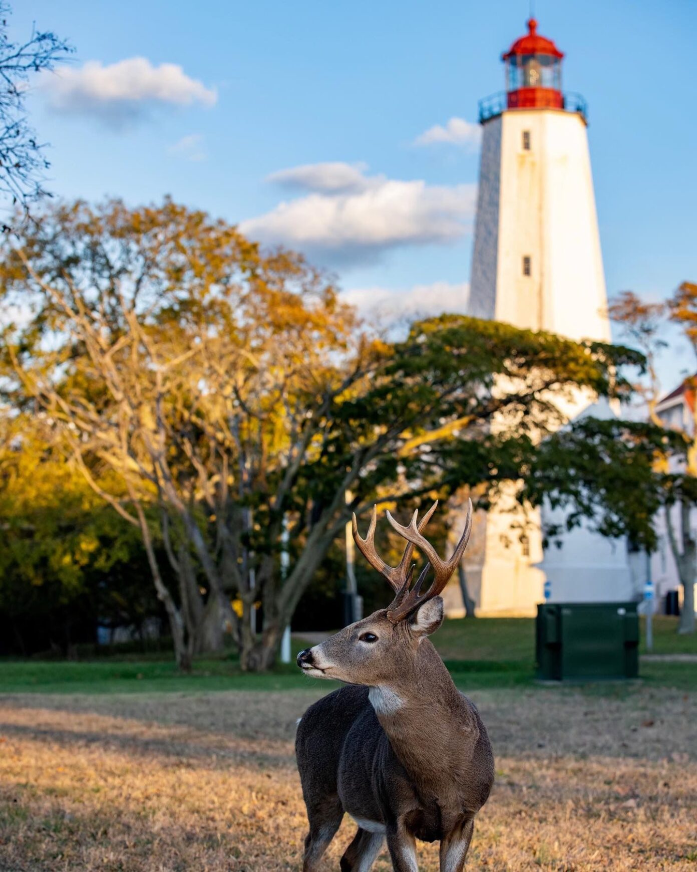 Garden State Greenery: The Best Parks in New Jersey | Jersey Digs
