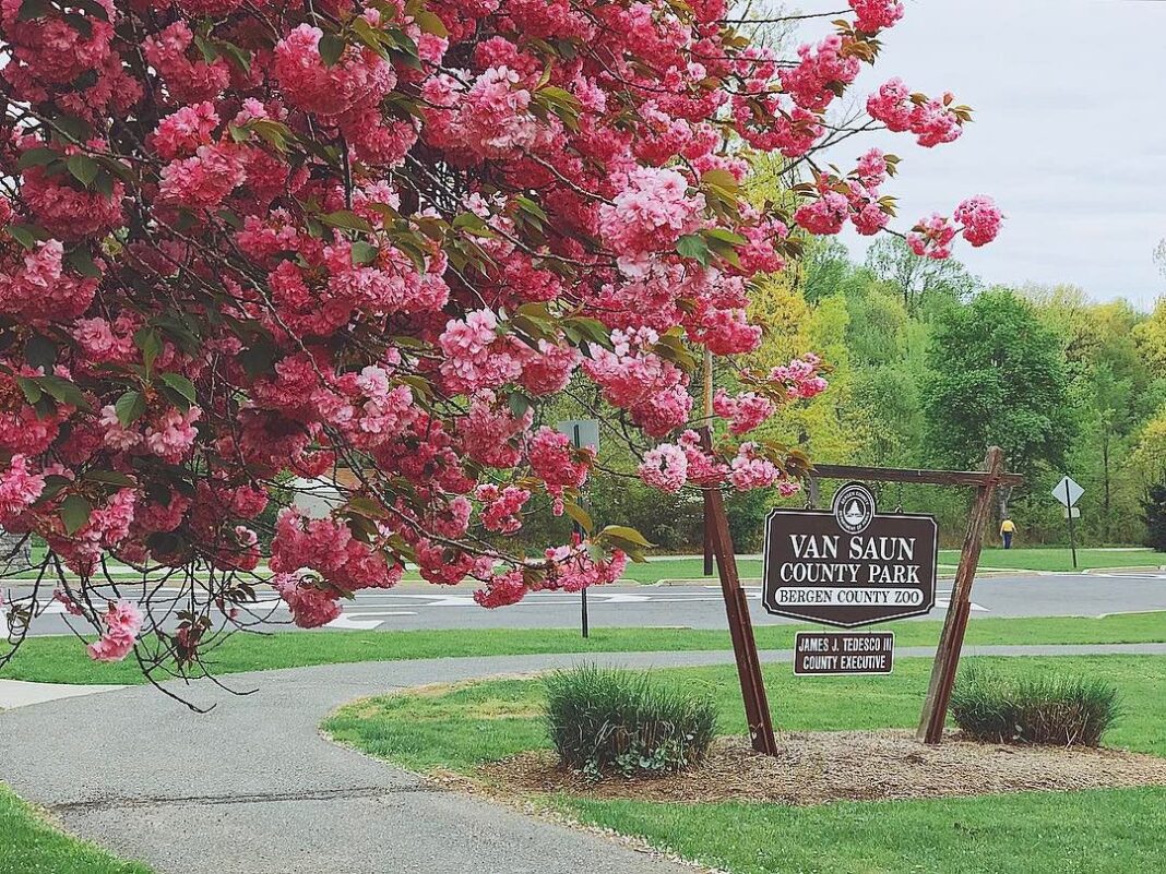 Garden State Greenery: The Best Parks in New Jersey | Jersey Digs