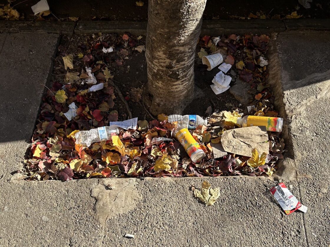 Jersey City Residents are Fed Up with Litter - Who's to Blame? | Jersey ...