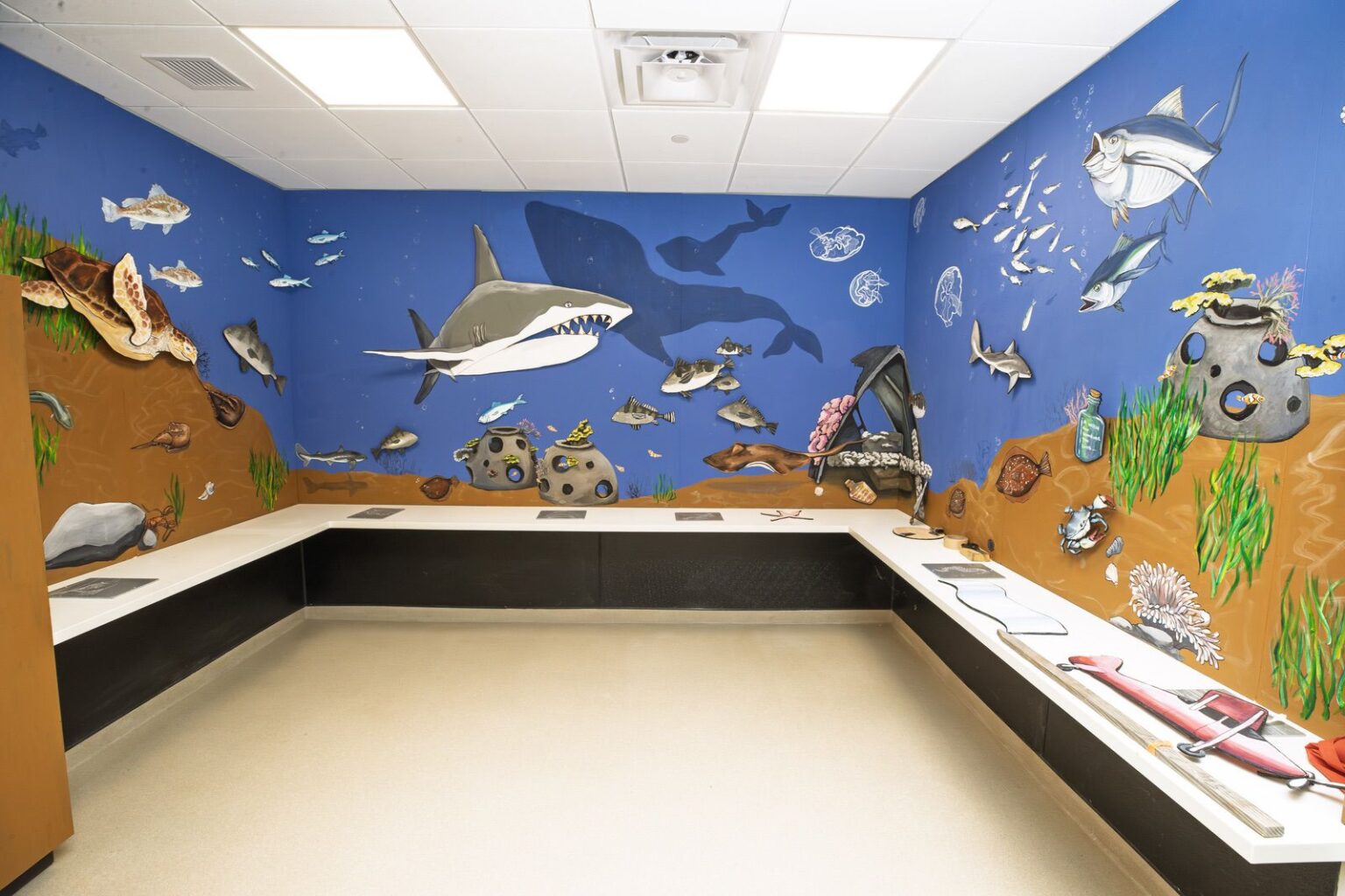 After Five Years of Renovation and Repair, the Atlantic City Aquarium ...
