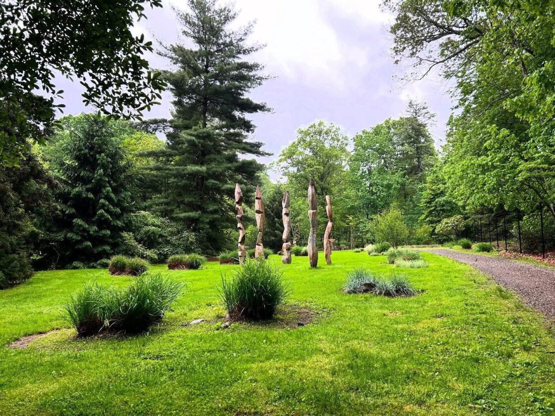 Wayne's Hidden Gem, Laurelwood Arboretum, is Now in Peak Bloom | Jersey ...
