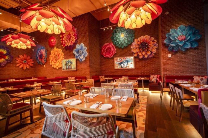 Meximodo Officially Opens in Downtown Jersey City, Bringing Mexican ...